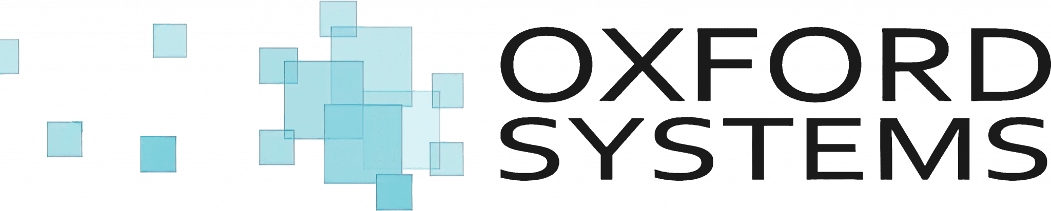 Cyber Resilience Audit | Oxford Systems